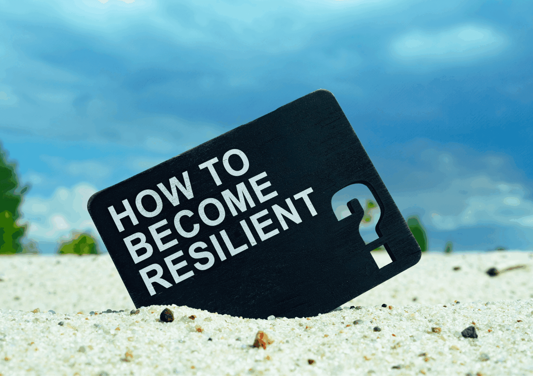 Building Resilience in Emotional Support Roles Building Resilience in ...